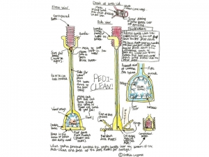 PediClean - Mark Champkins